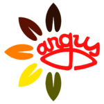 Argus SA – Producator de Ulei Vegetal in Romania